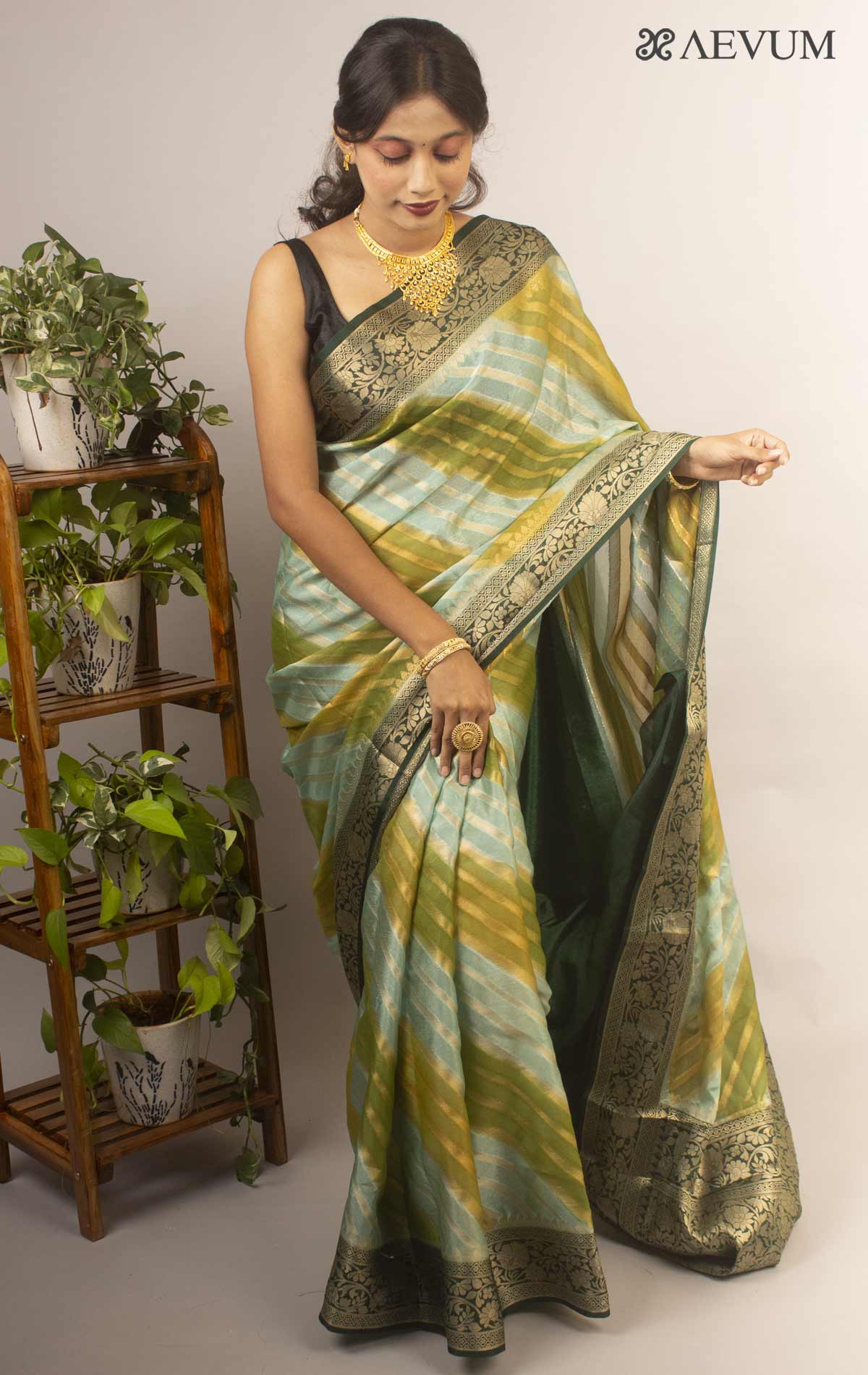 Organza Banarasi Handloom Saree by Aevum - 12347 – AEVUM