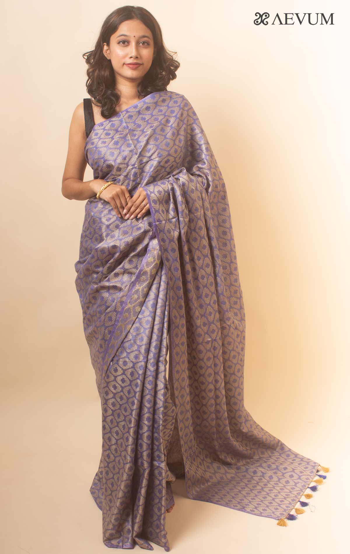 Katan Silk Saree with weaving designs - 18120 – AEVUM